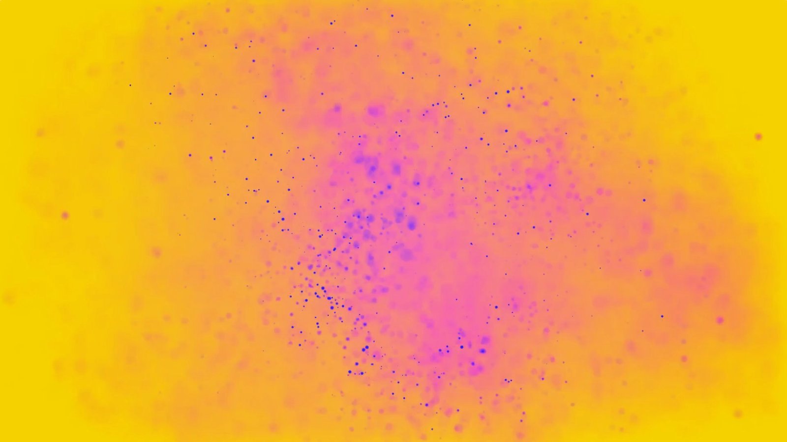 We Fetch Urban™ LED Reflective Vest